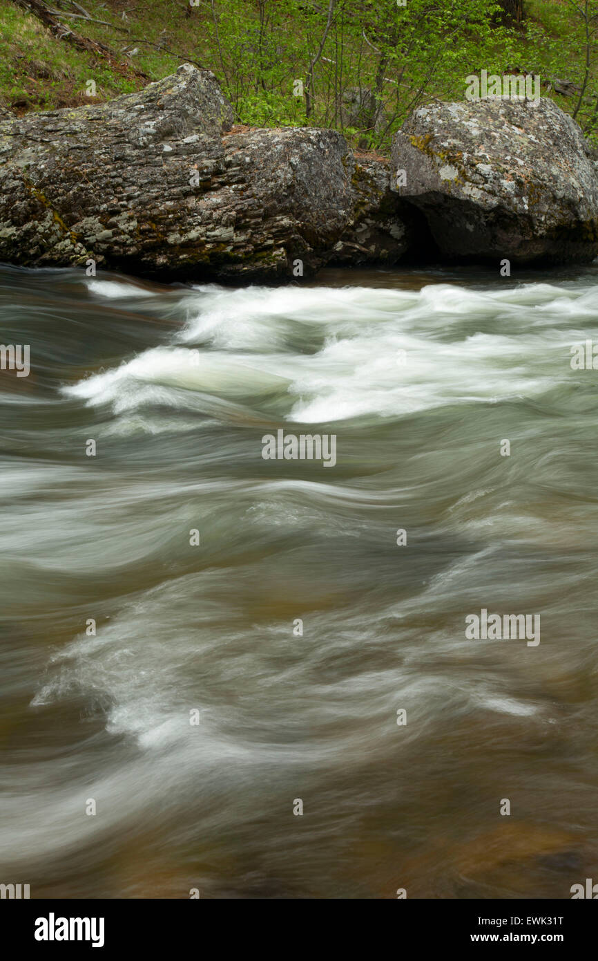 Malheur Wild and Scenic River, Malheur National Forest, Oregon Stock ...