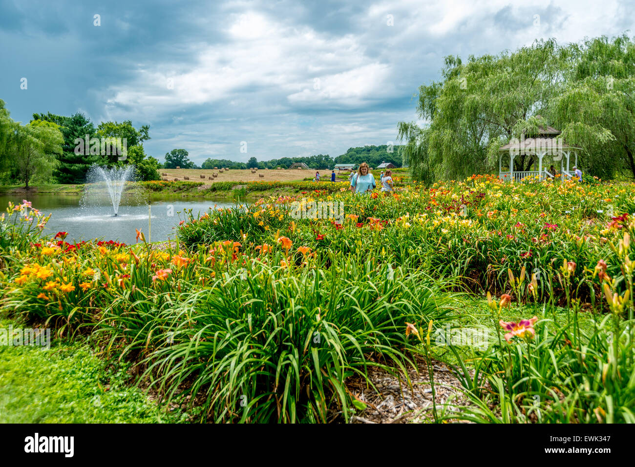 Corryton, Tennessee, USA. 27th June, 2015. Annual Oaks Farm Day ...