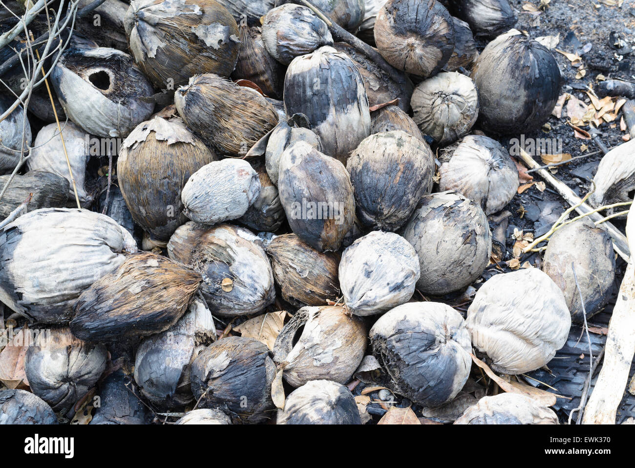 Burnt coconut hi-res stock photography and images - Alamy