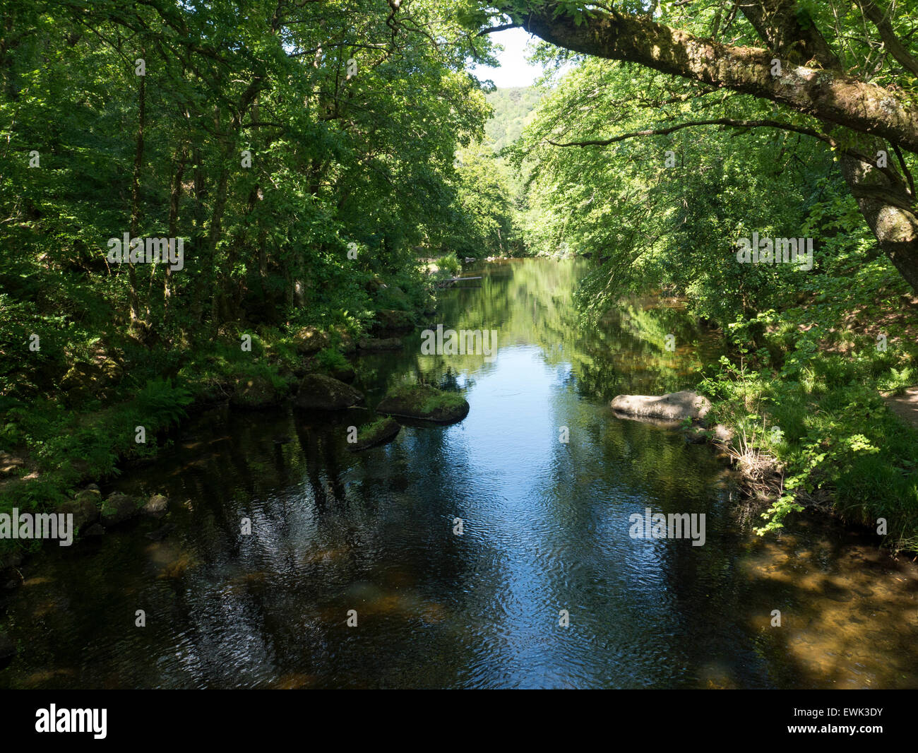Fingle bridge devon hi-res stock photography and images - Alamy