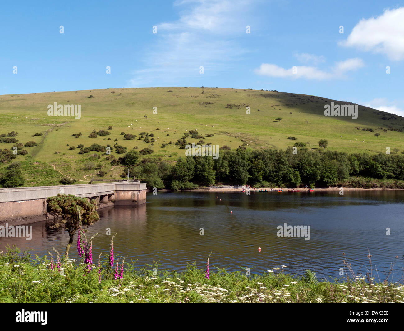 Meldon reservoir devon hi-res stock photography and images - Alamy