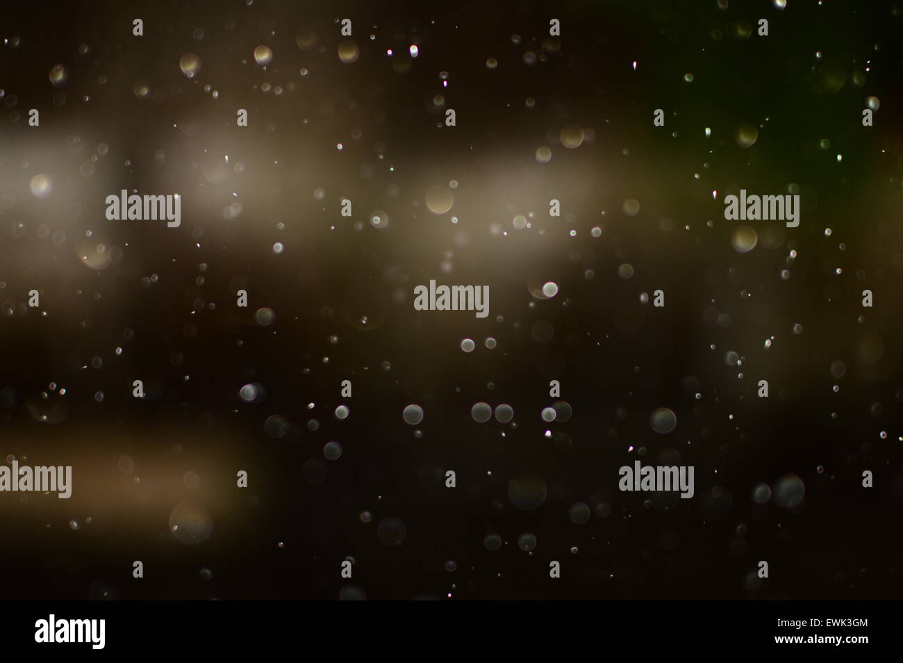 Drops of heavy rain hi-res stock photography and images - Alamy