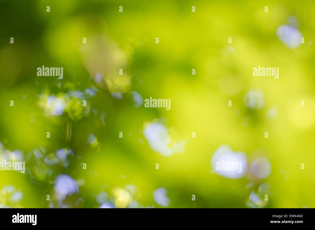 Defocused abstract green nature background Stock Photo - Alamy