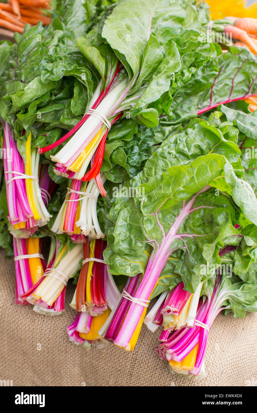 Fresh, organic rainbow chard at Sebastopol farmer's market, Sonoma ...