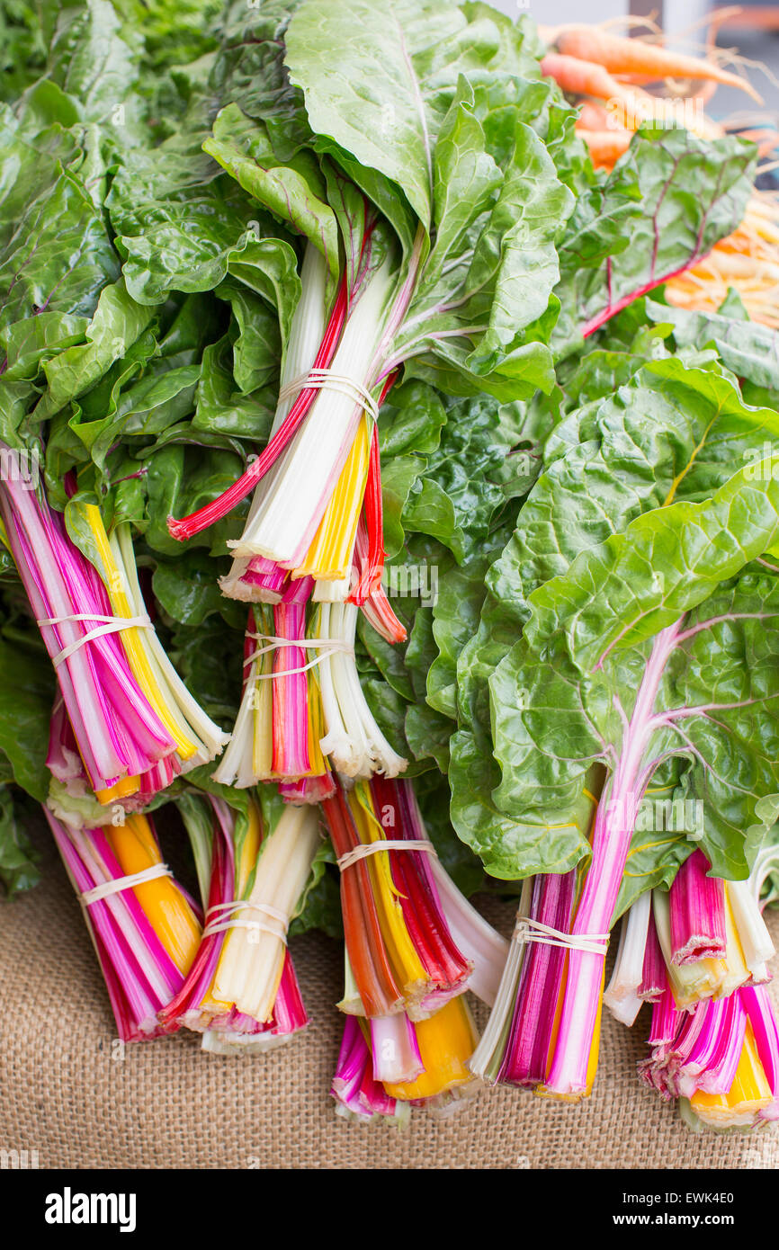 Fresh, organic rainbow chard at Sebastopol farmer's market, Sonoma ...
