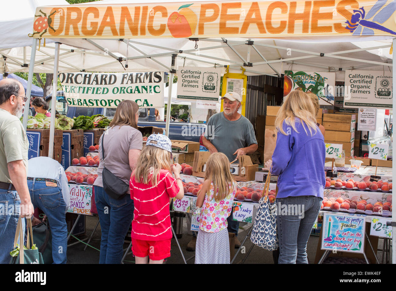 Peach county peaches hi-res stock photography and images - Alamy