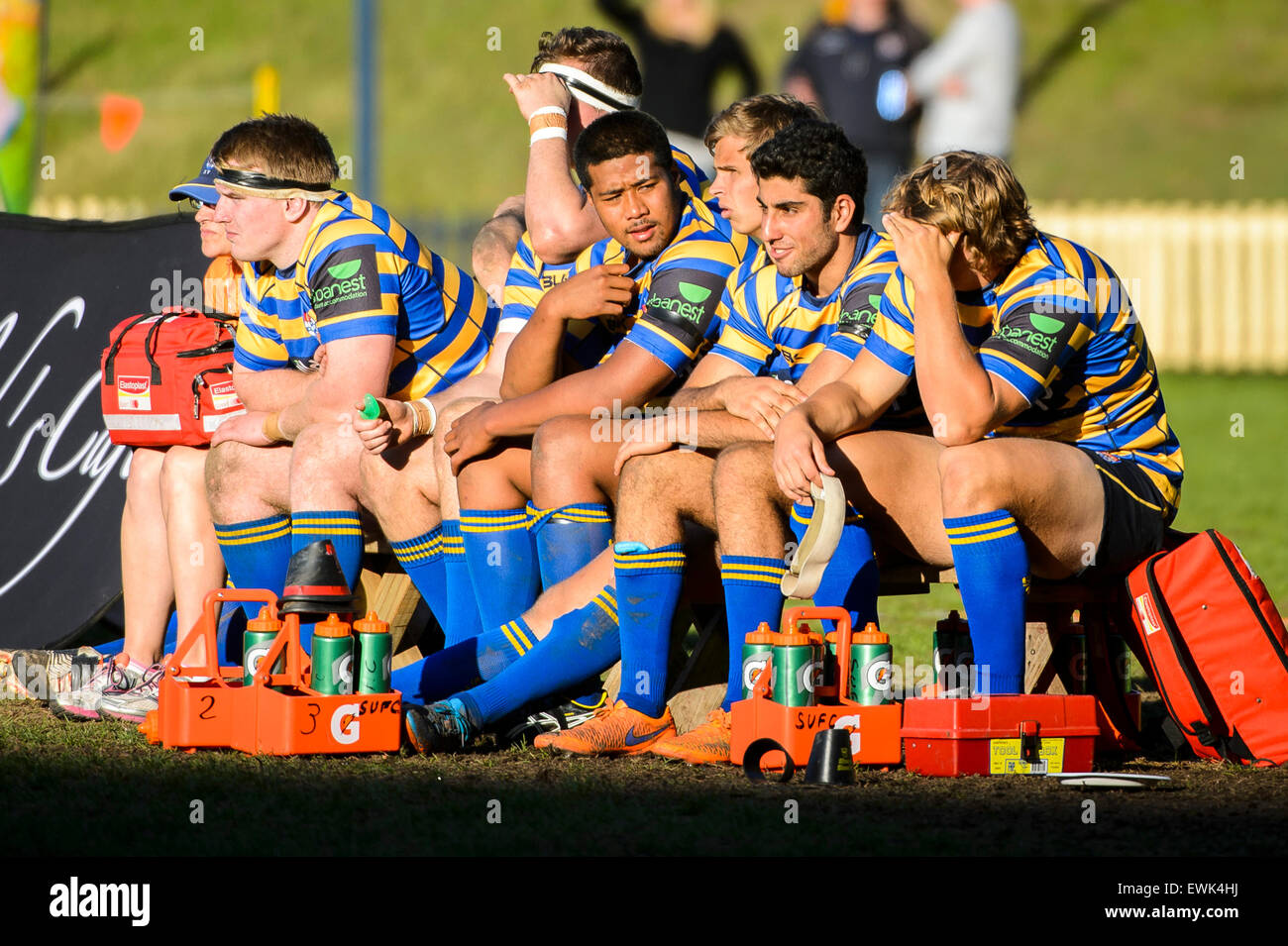 Shute shield hi-res stock photography and images - Alamy