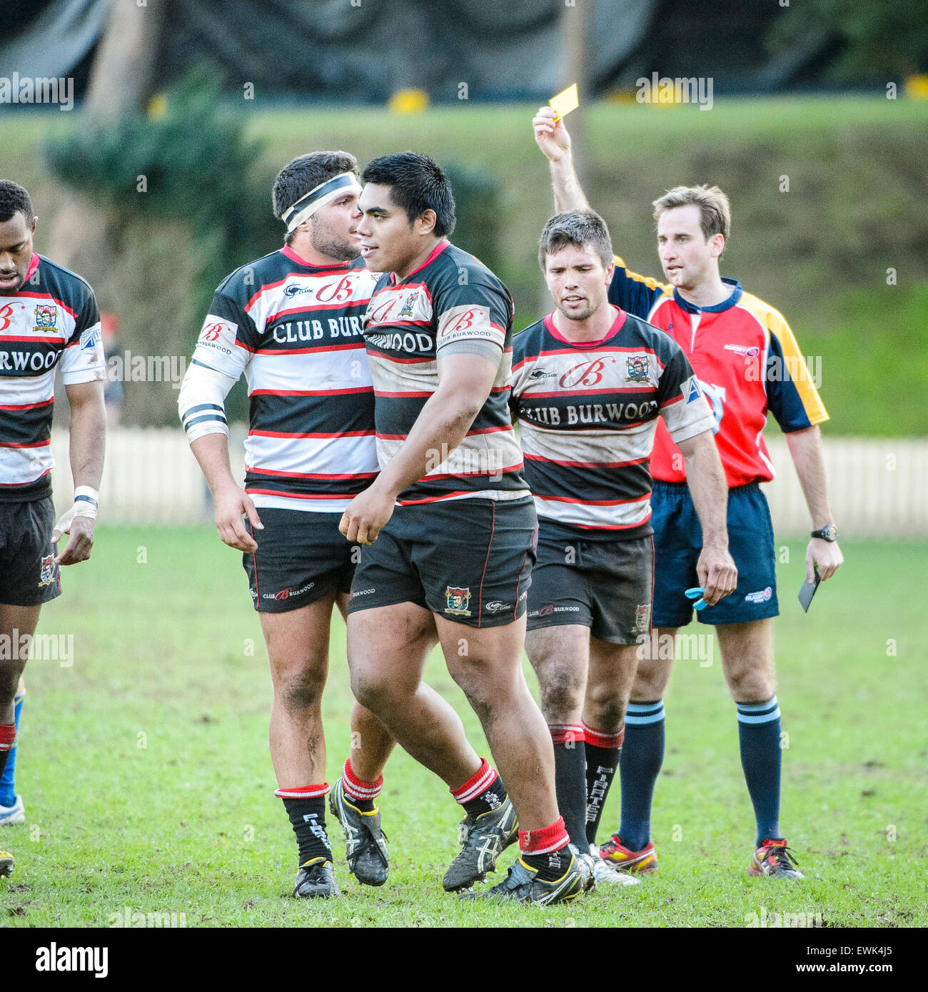 Shute shield hi-res stock photography and images - Alamy