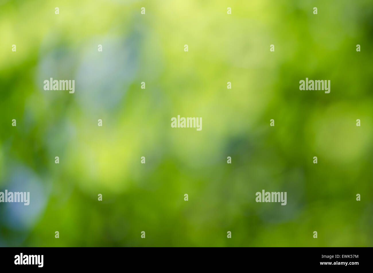 Defocused abstract green nature background Stock Photo - Alamy