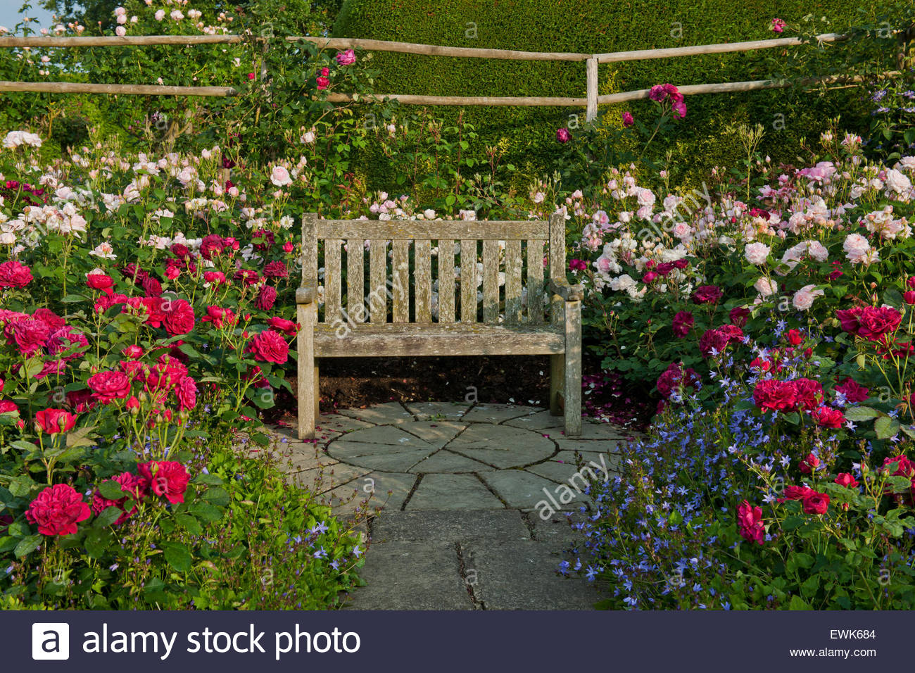 Formal Rose Garden