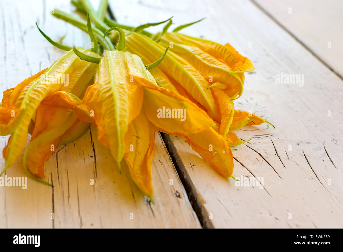 Courgettes on plant hi-res stock photography and images - Alamy