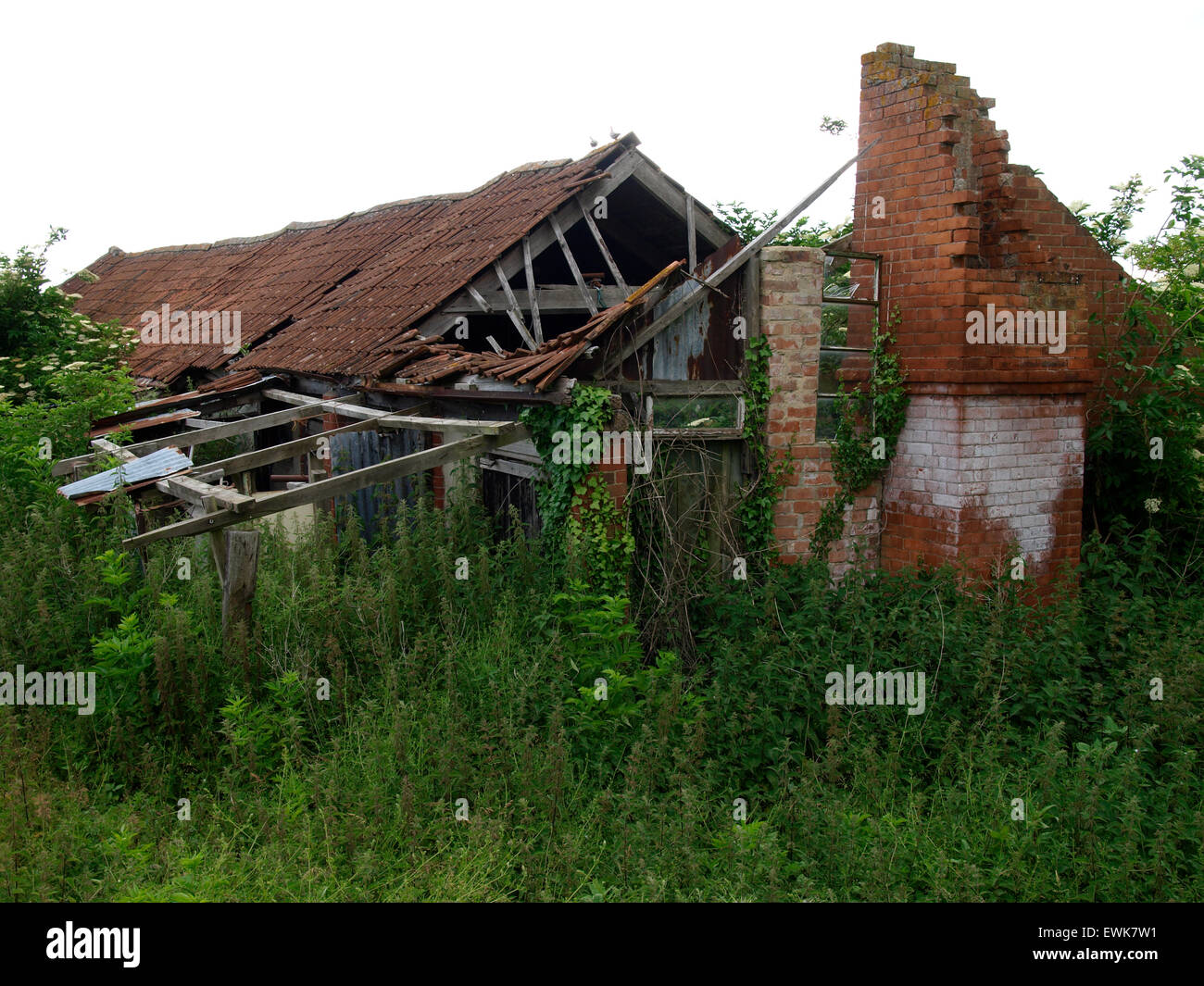 Old derelict overgrown building, Somerset, UK Stock Photo - Alamy