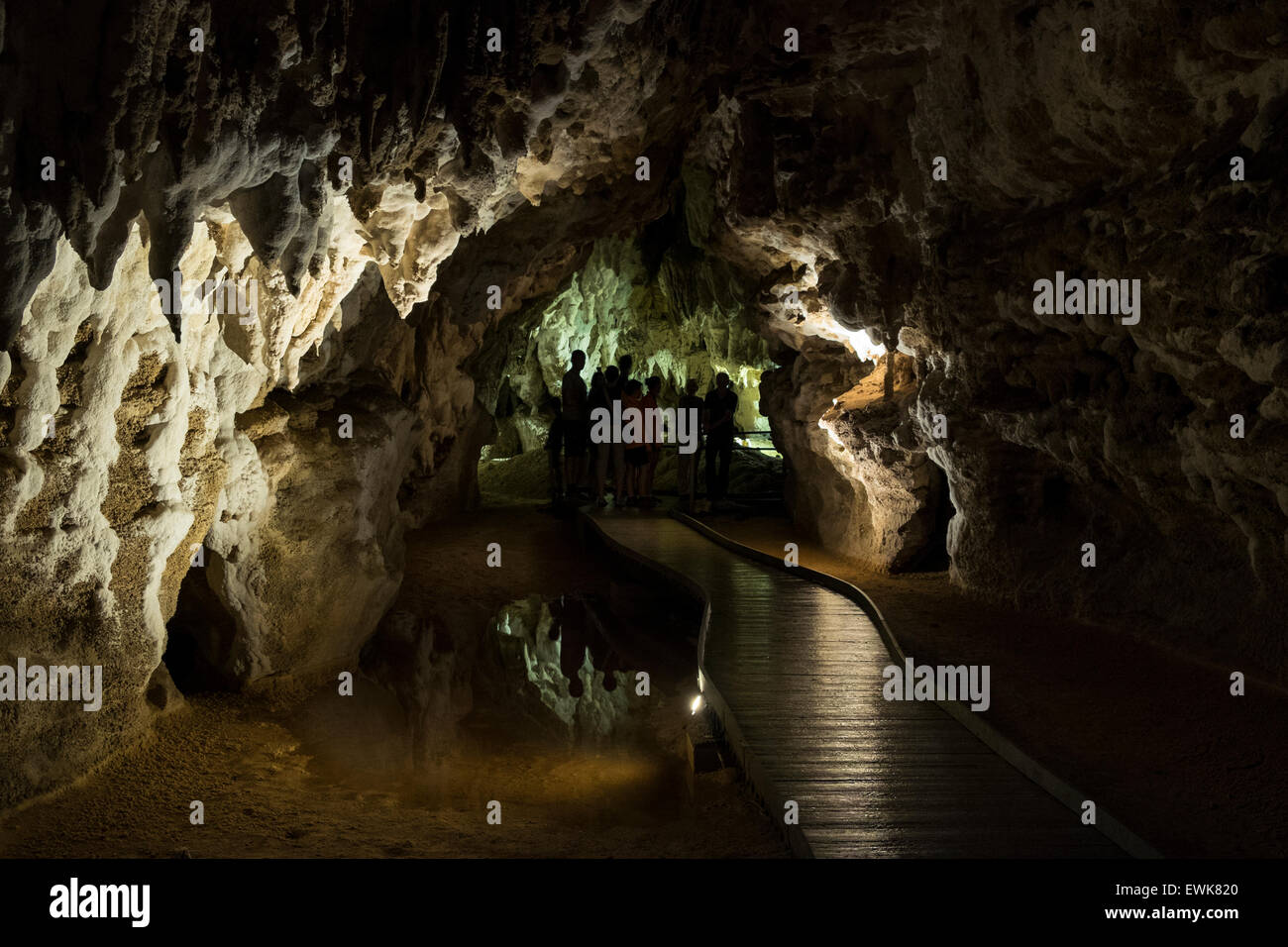 Tour through a limestone rock cave in Waitomo, New Zealand Stock Photo ...