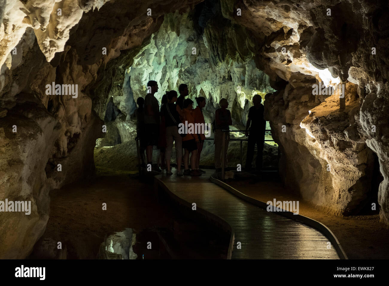 Tour through a limestone rock cave in Waitomo, New Zealand Stock Photo ...