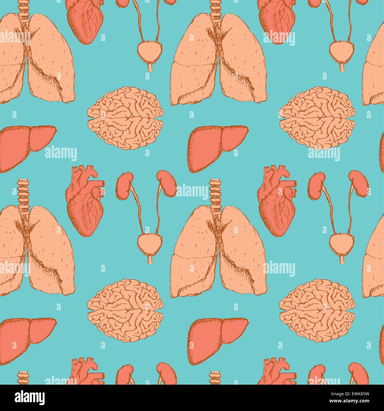 Sketch internal organs in vintage style, vector seamless pattern Stock ...
