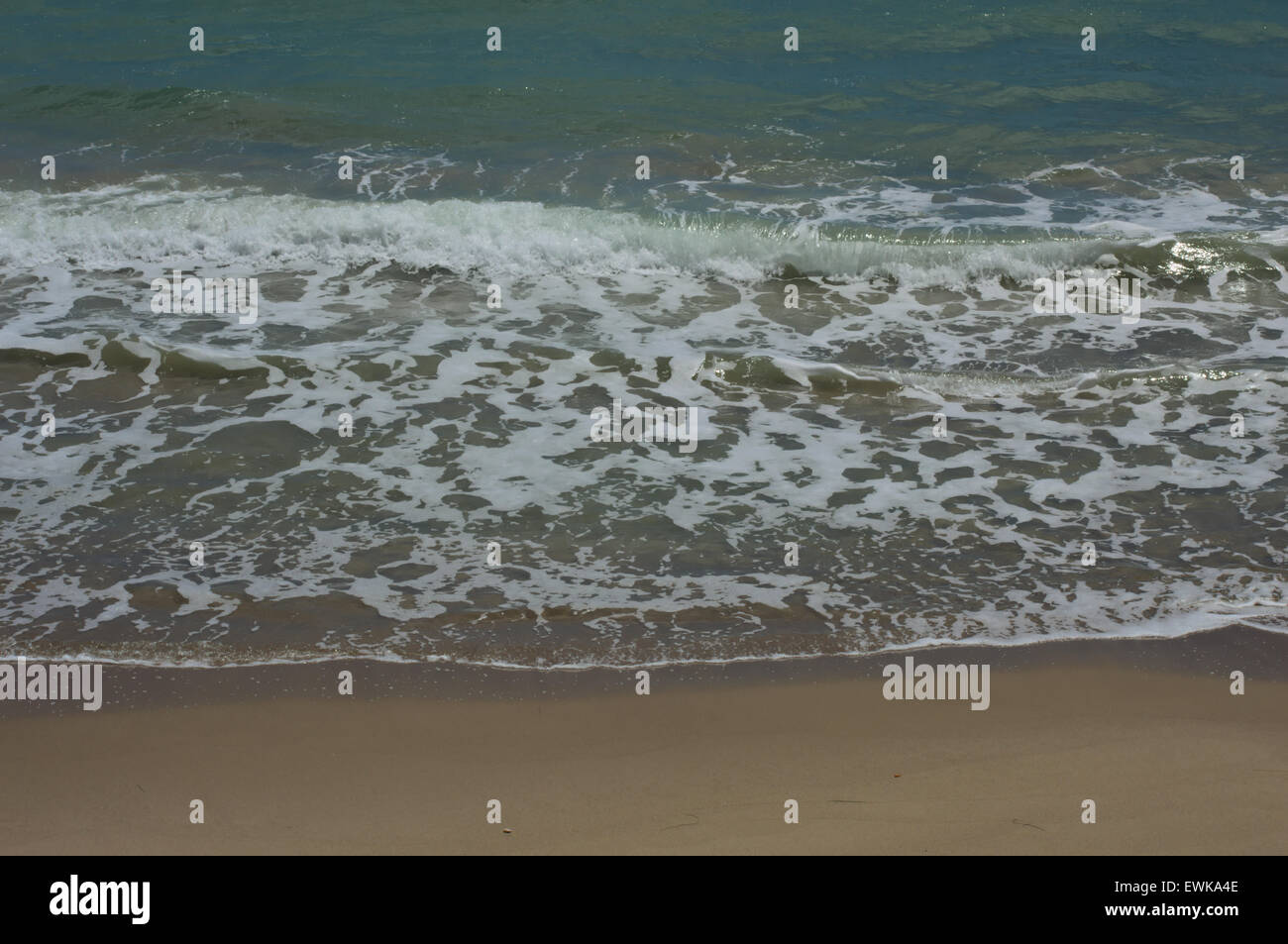 waves on water's edge in Metaponto beach (Basilicata - Italy Stock ...