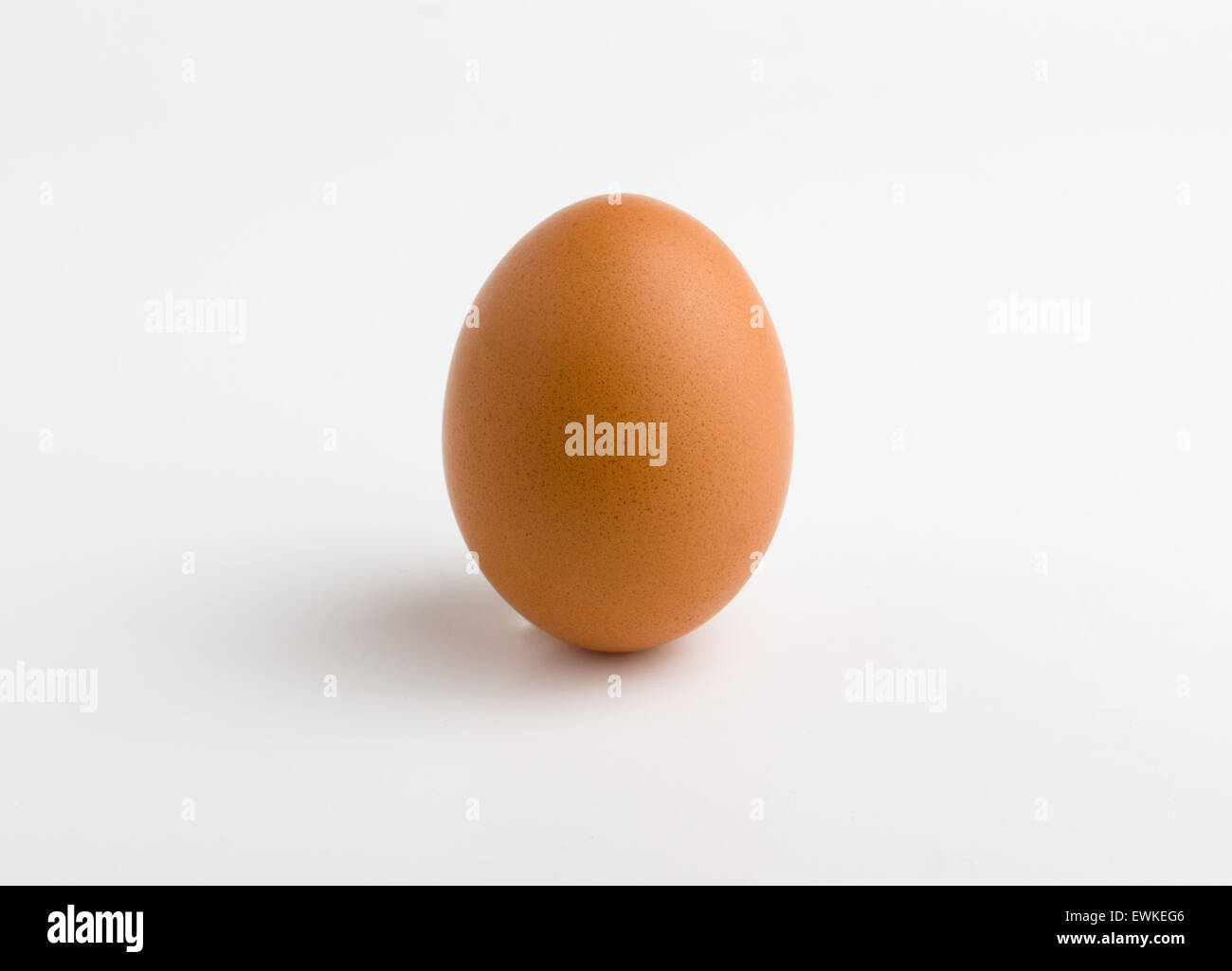 raw egg in the shell vertically standing on white background Stock ...