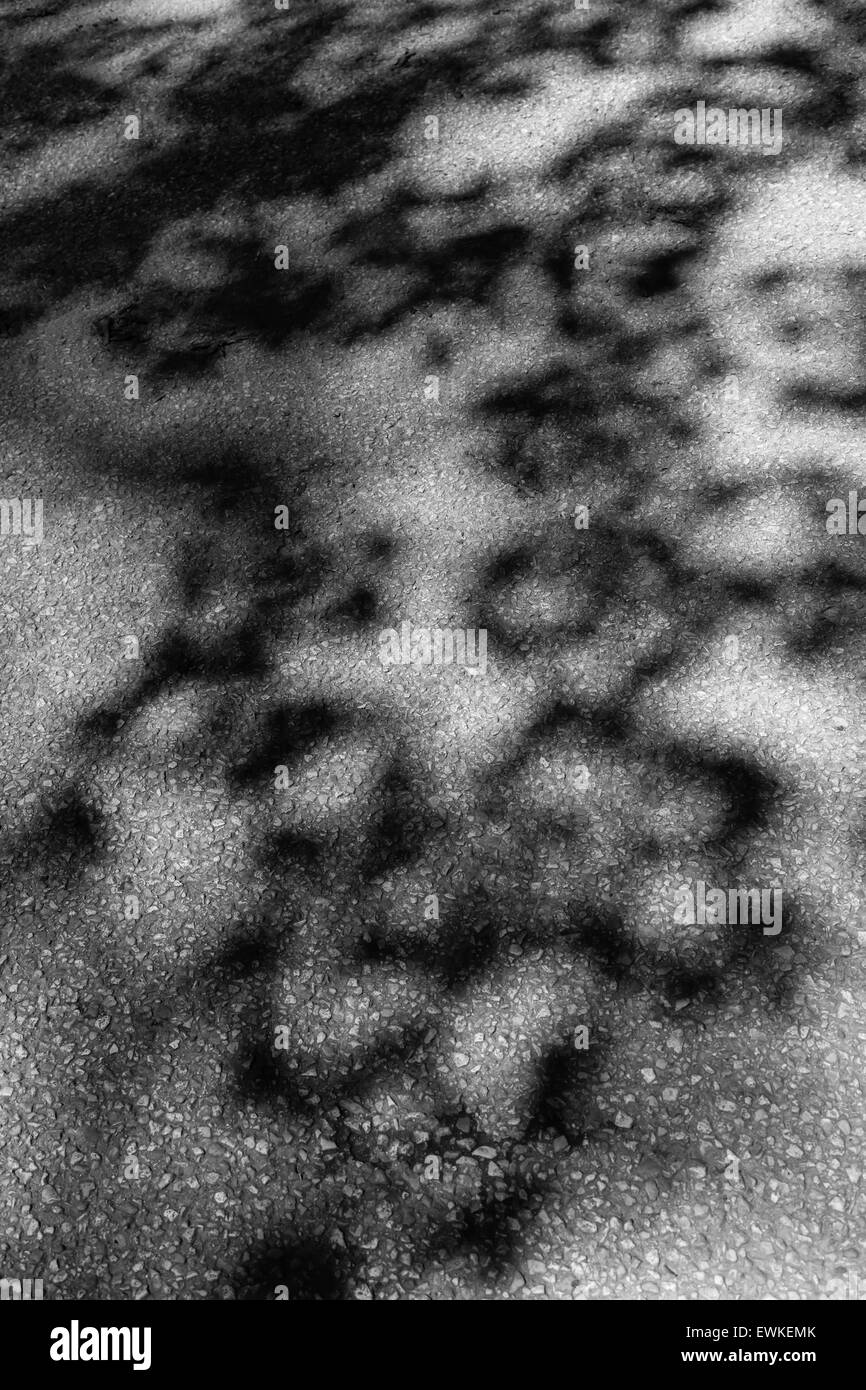 Mottled patches Black and White Stock Photos & Images - Alamy