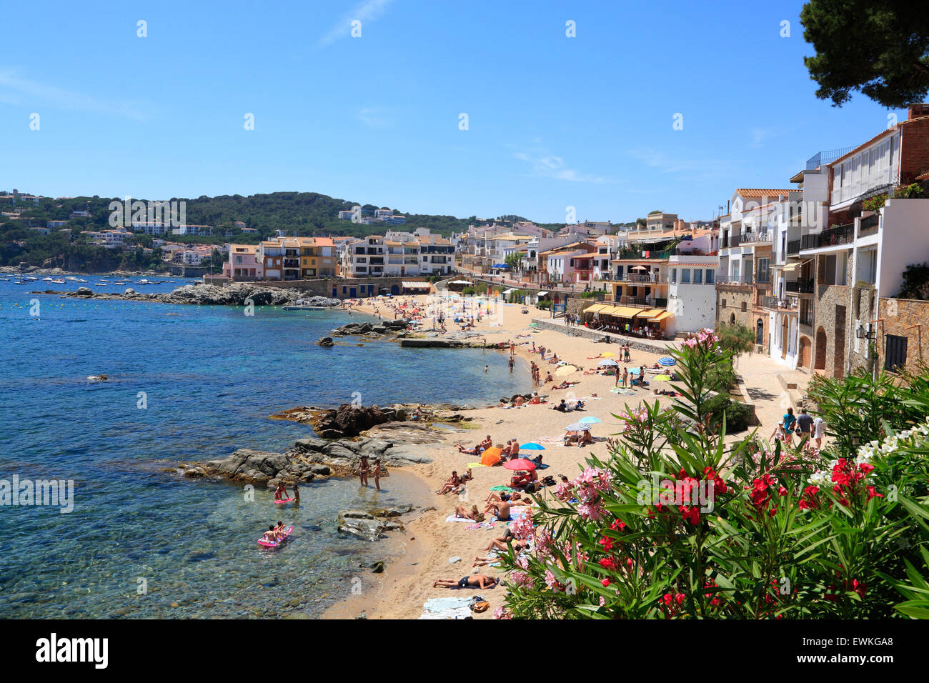 Calella de Palafrugell beach, Costa Brava, Catalonia, Spain, Europe ...