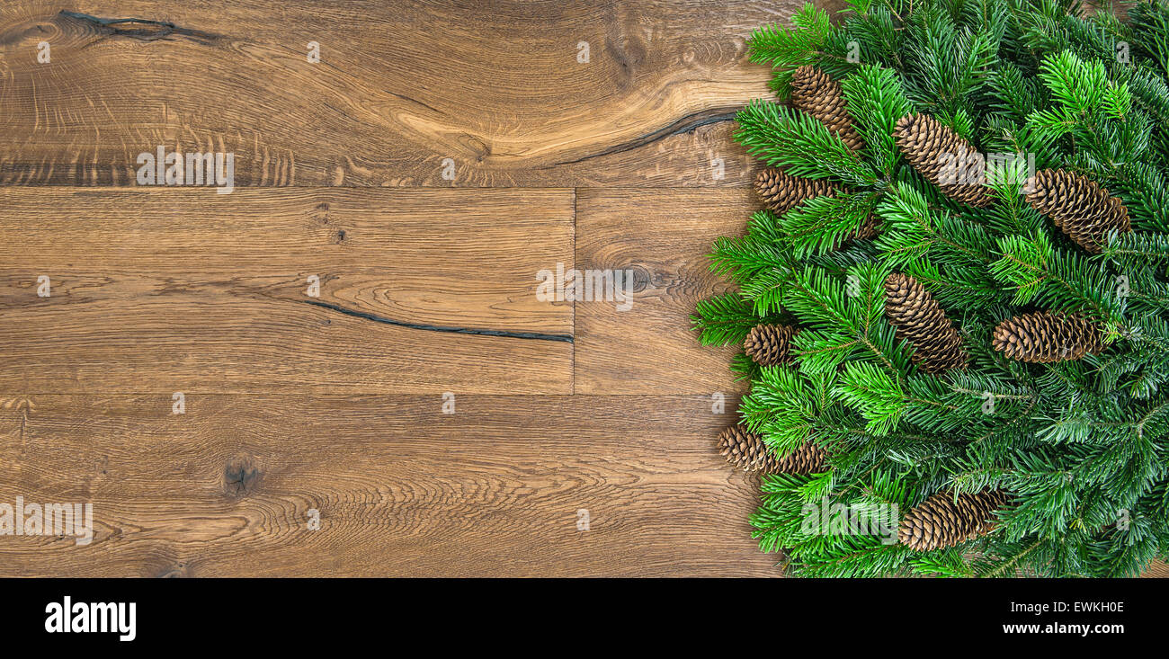 Tree border frame hi-res stock photography and images - Alamy