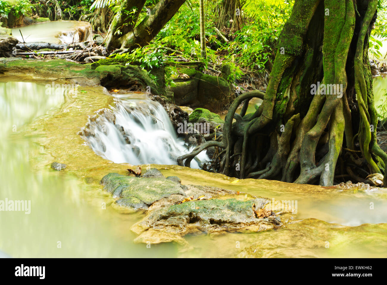 Forest waterfall nature park hi-res stock photography and images - Alamy