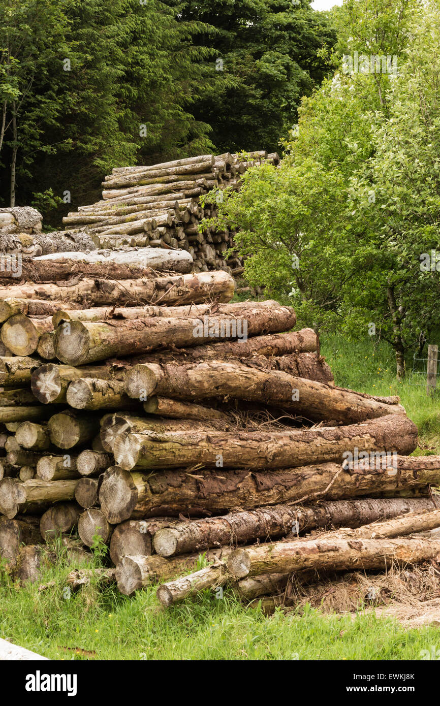 Log pile hi-res stock photography and images - Alamy