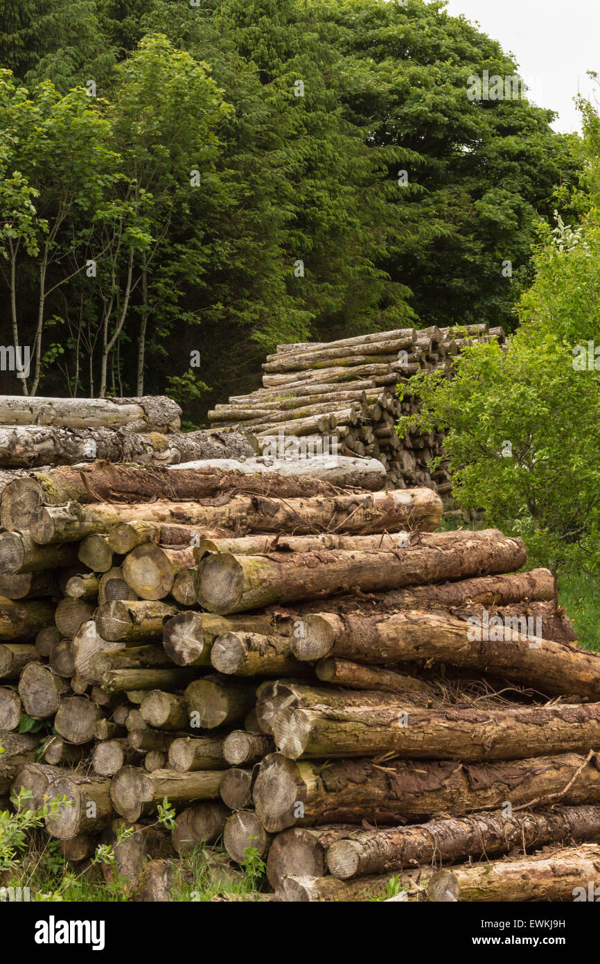 Log pile hi-res stock photography and images - Alamy