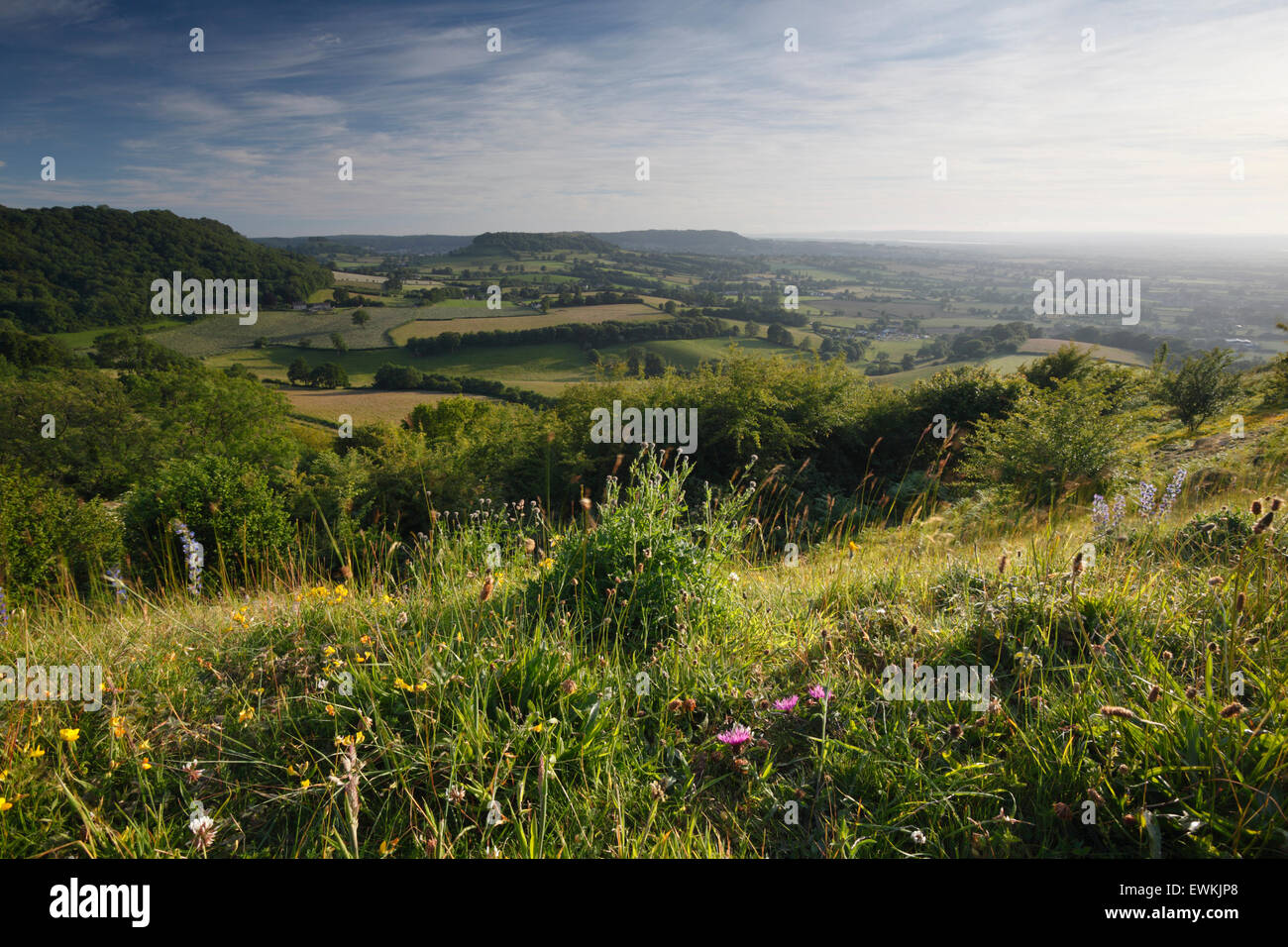 How hill nature reserve hi-res stock photography and images - Alamy
