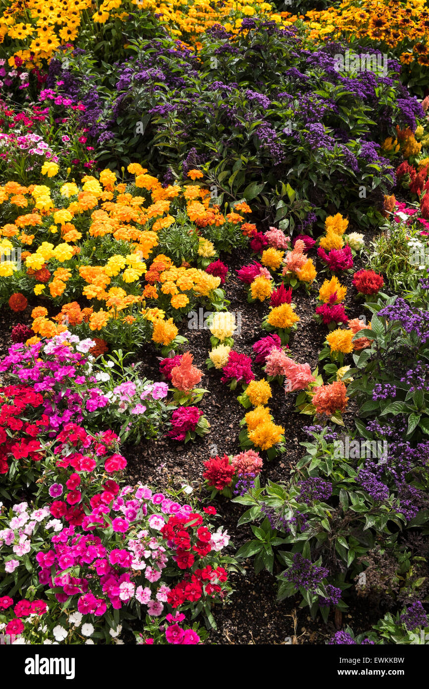 Images Of Indian Flowers New Vegan Leather Is Made From Indian Temple