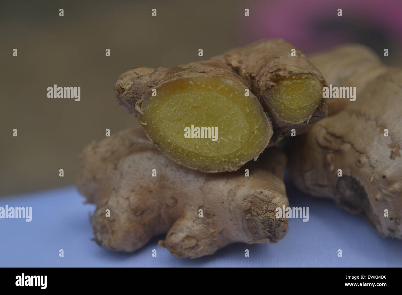 Cross section details hi-res stock photography and images - Alamy