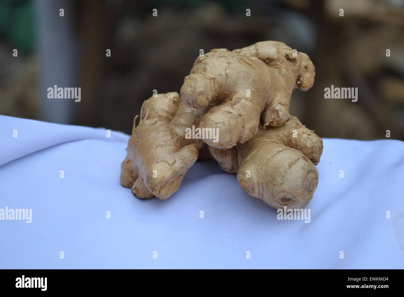 cross section of ginger showing yellow inside Stock Photo - Alamy