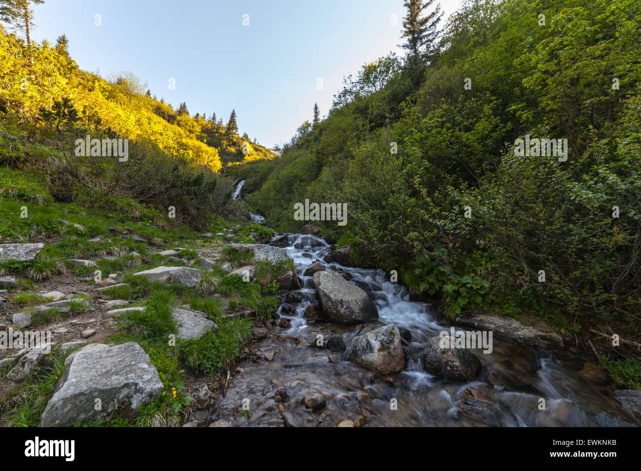 Summer fall transition hi-res stock photography and images - Alamy