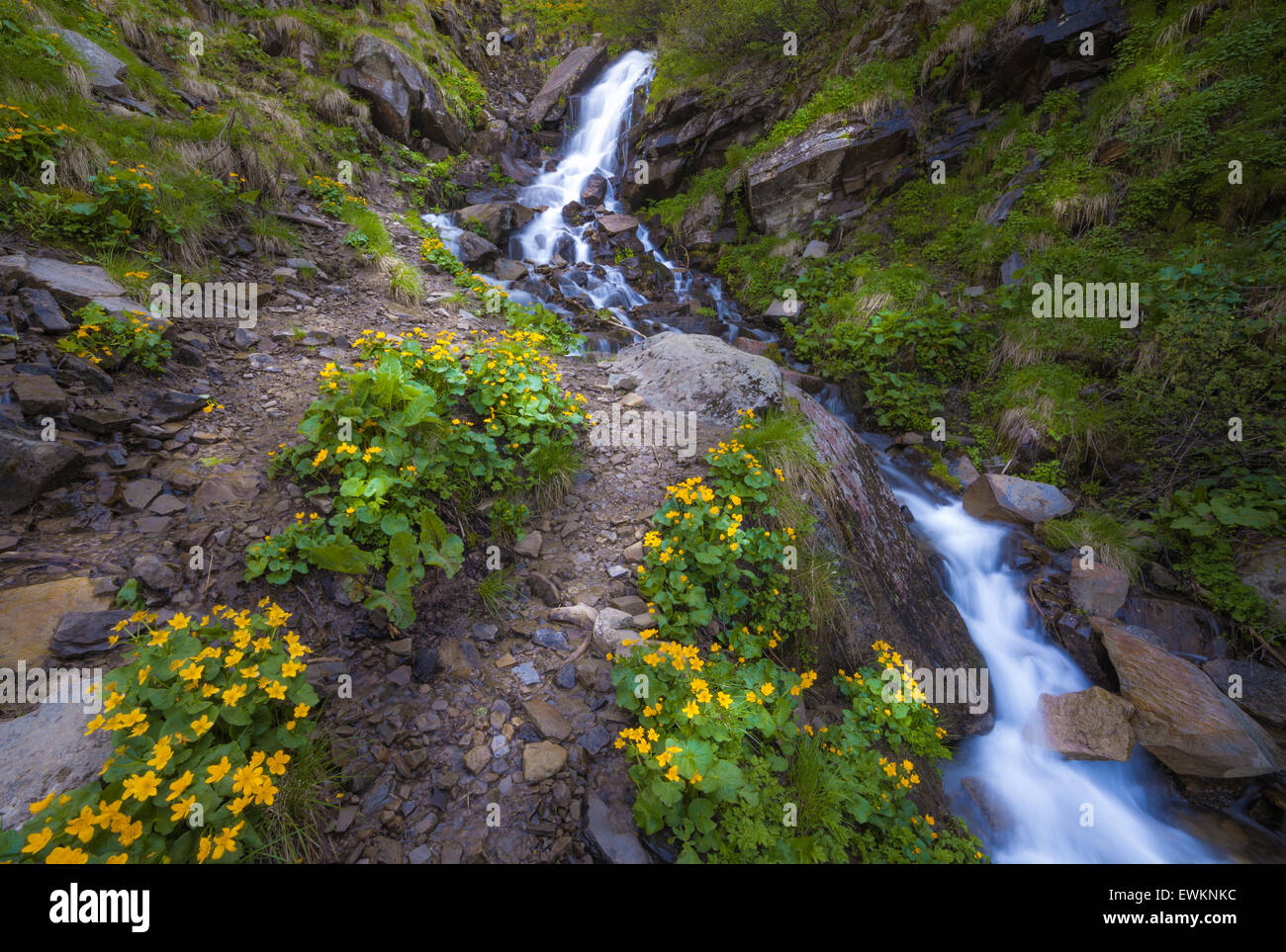 Aerial view waterfall beautiful small hi-res stock photography and ...