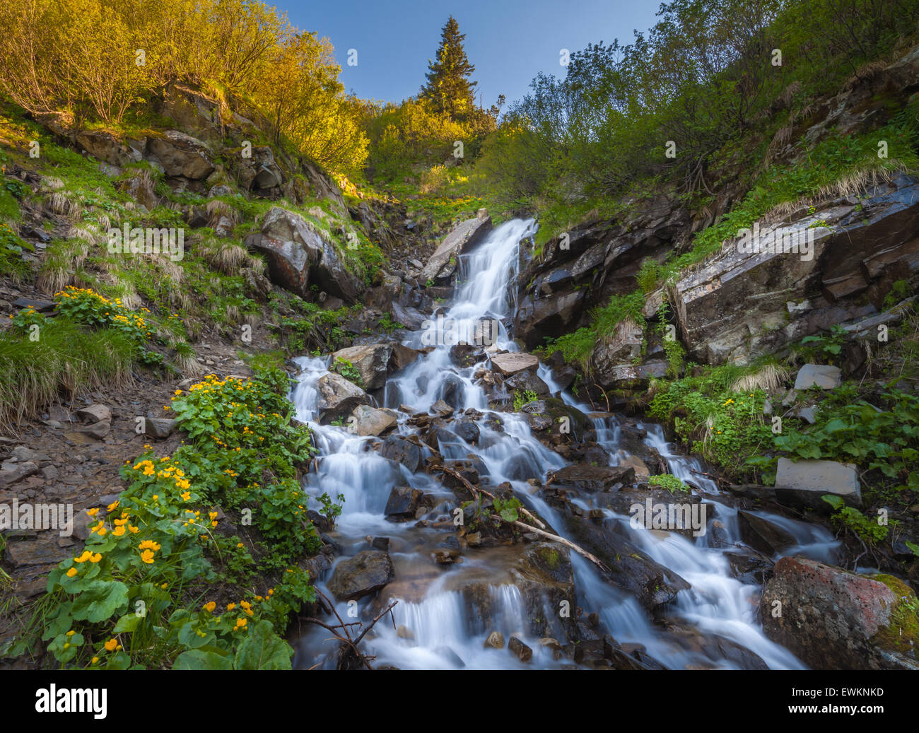 Summer fall transition hi-res stock photography and images - Alamy