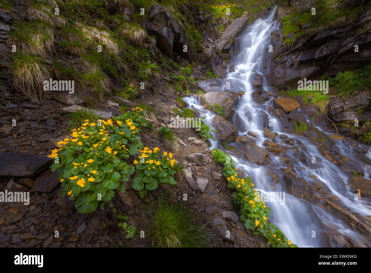 Aerial view waterfall beautiful small hi-res stock photography and ...