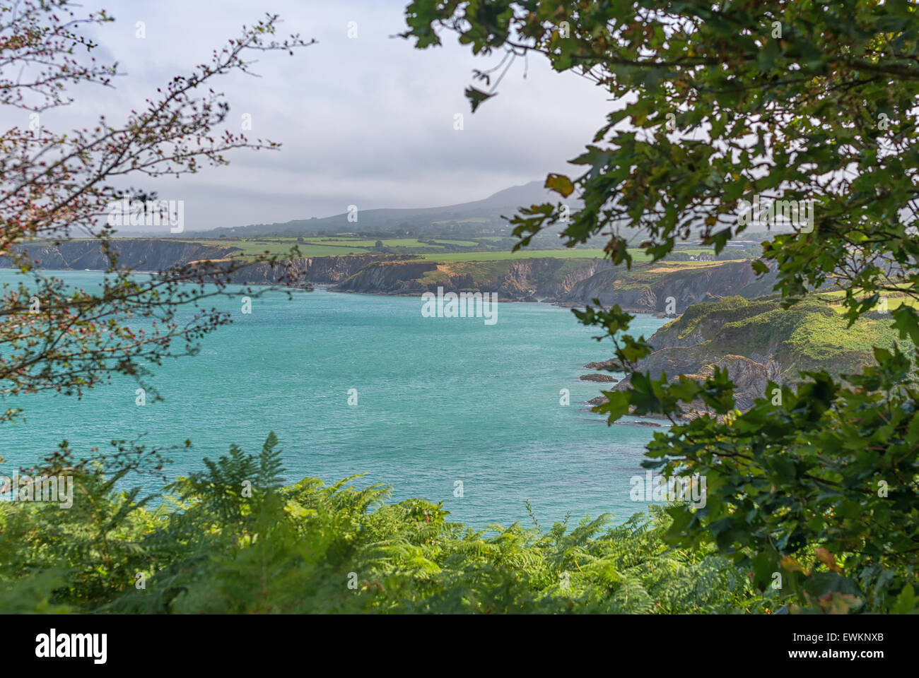 Welsh coastline in summer Stock Photo - Alamy
