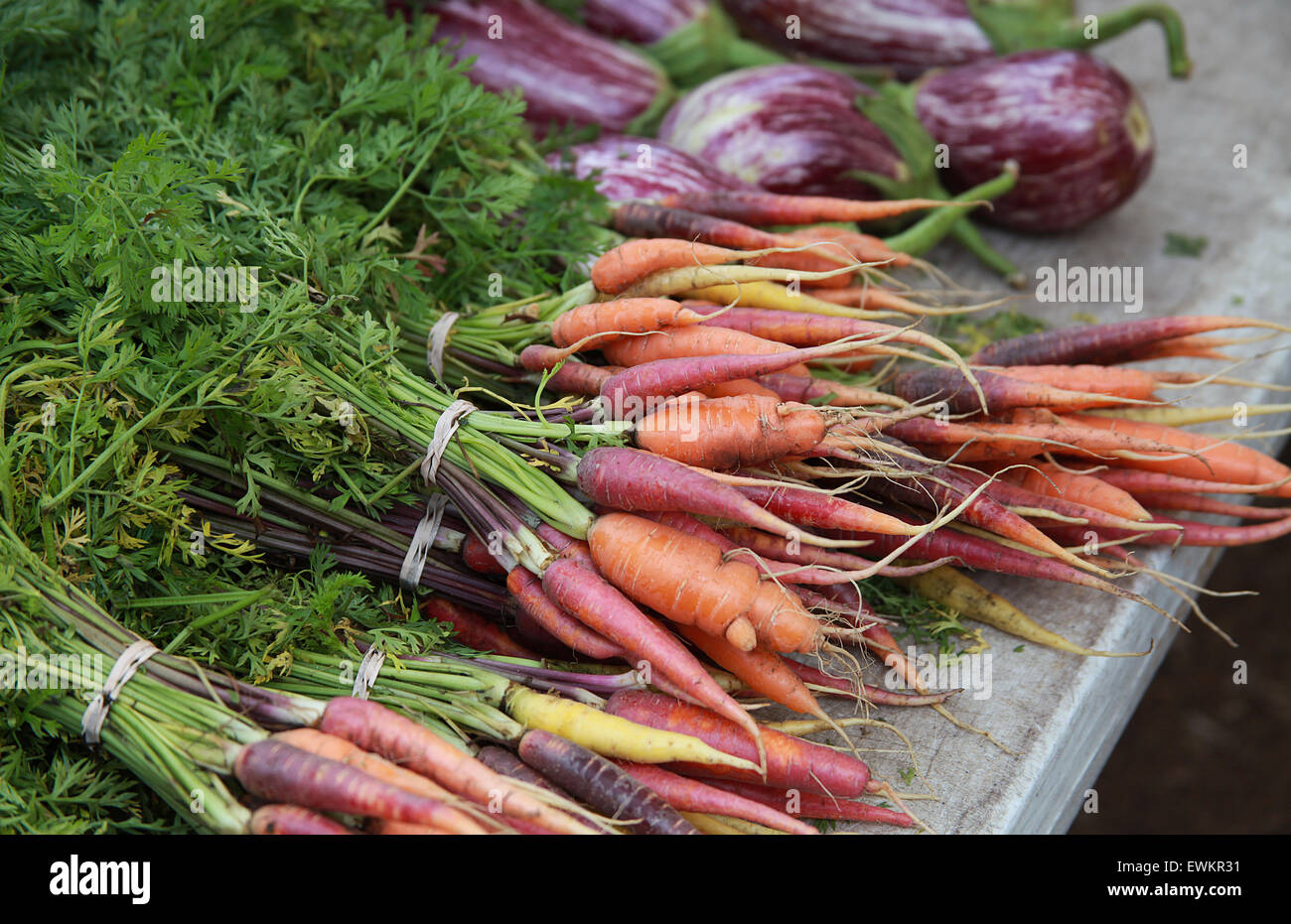 Bunches of carrots straight out of the ground Stock Photo - Alamy