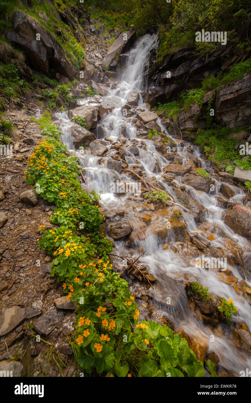 Beautiful small waterfall In Mountains, Ukraine. The White water ...