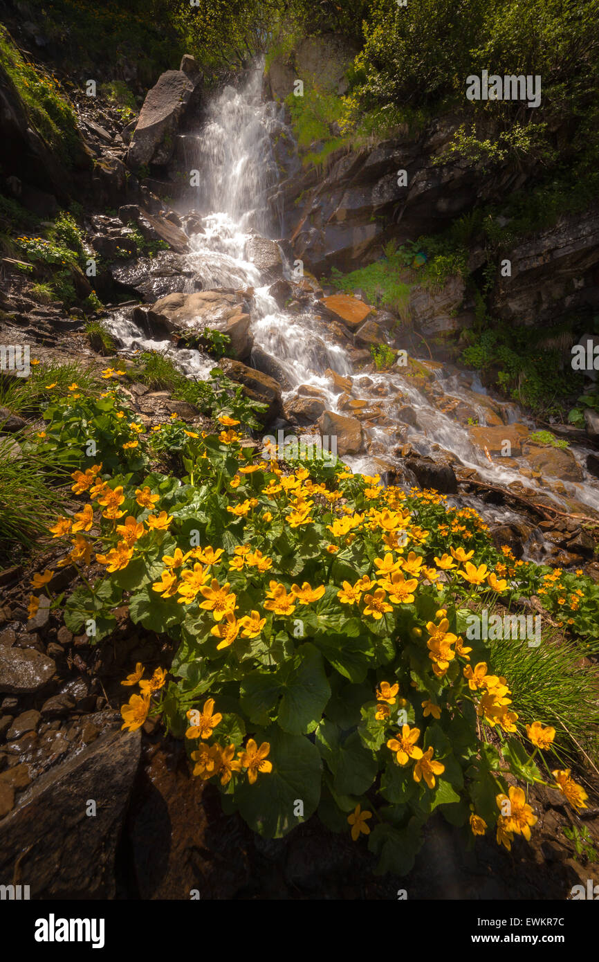 Beautiful small waterfall In Mountains, Ukraine. The White water ...