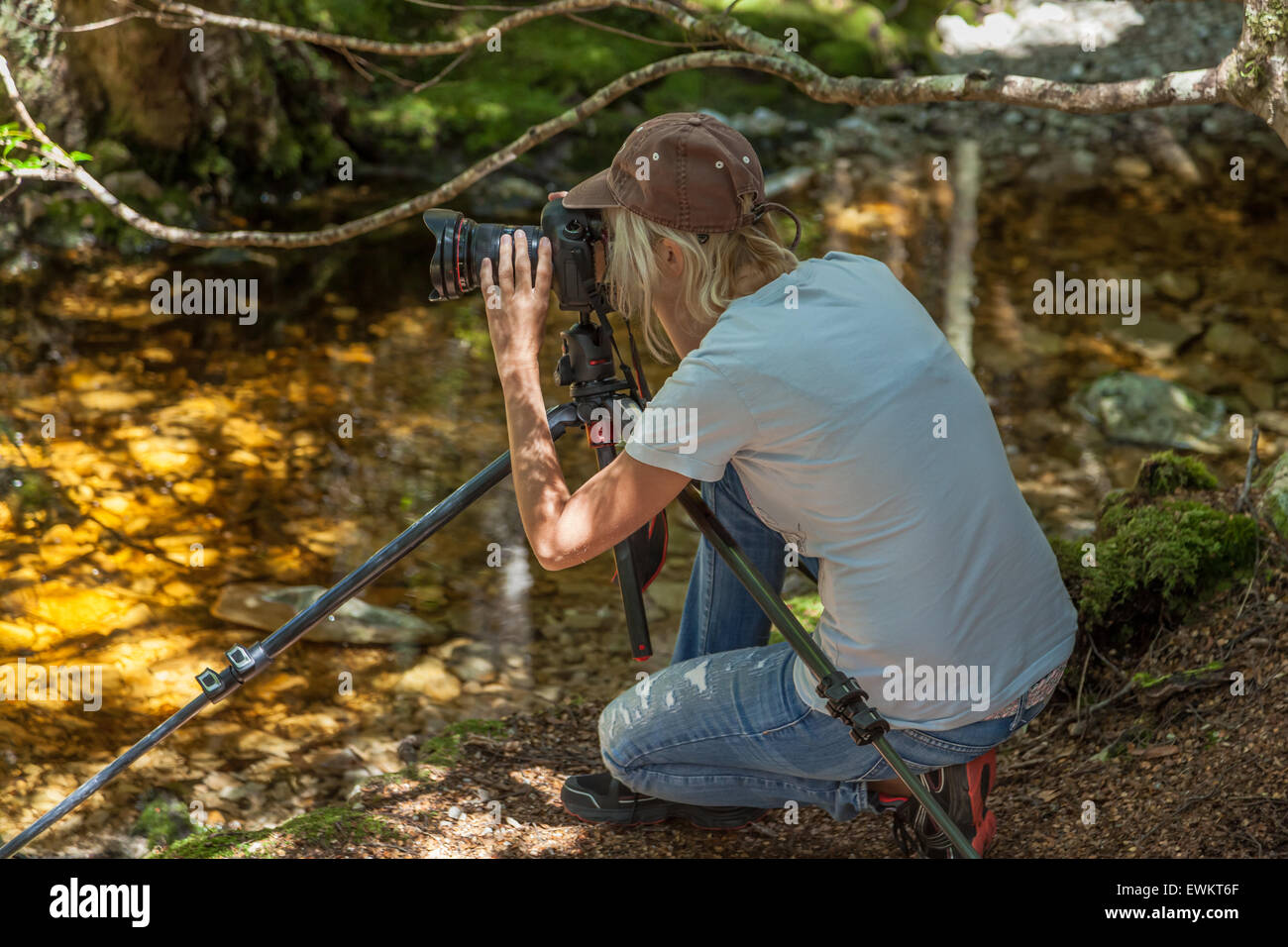 Female photographer shooting landscape hi-res stock photography and ...
