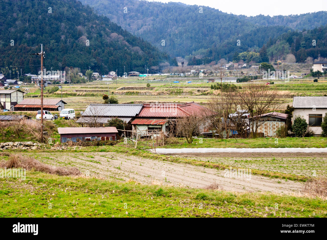 Cultivated farmland and rice paddies with scattered houses at the ...