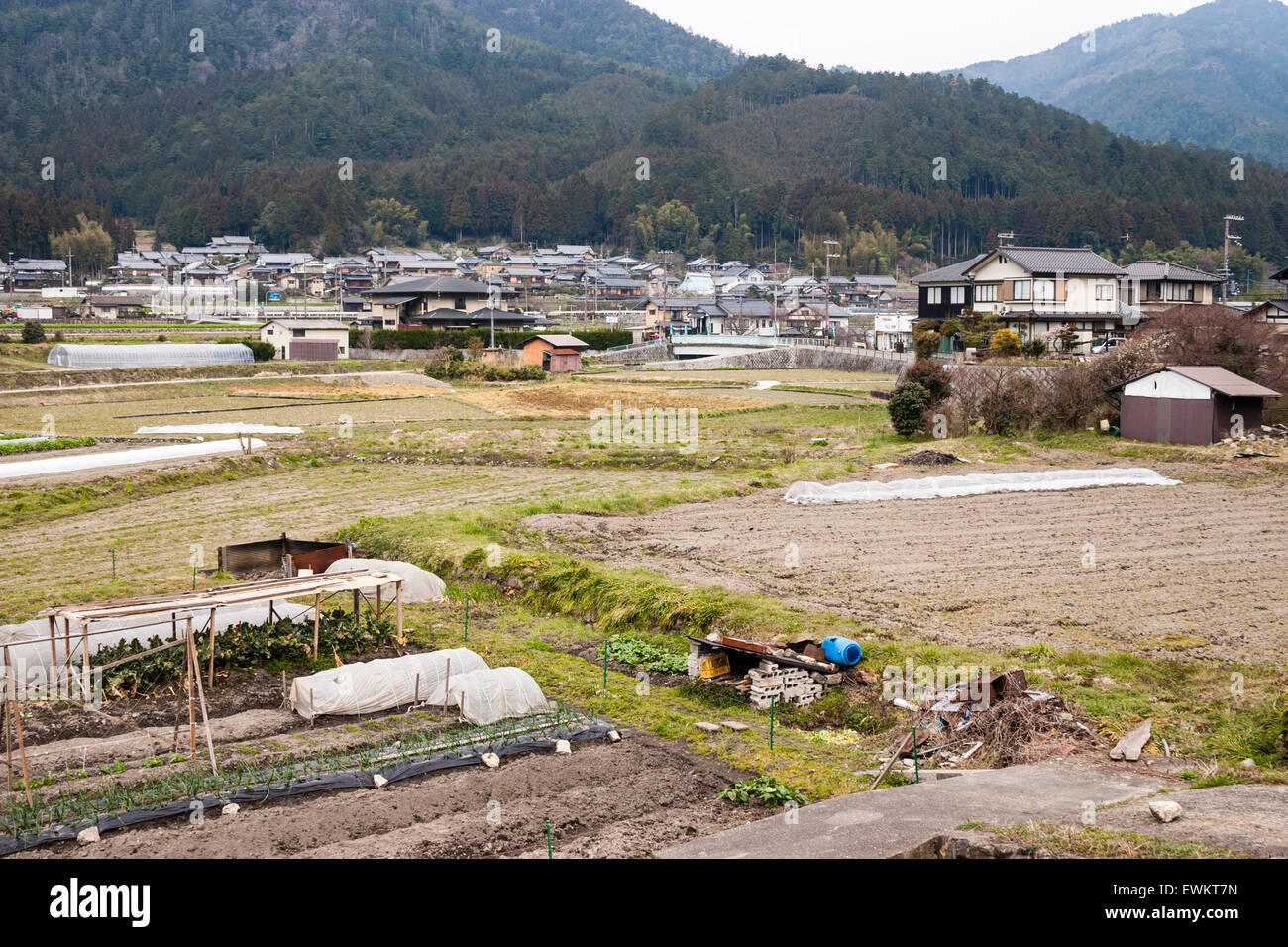 Cultivated farmland and rice paddies with scattered houses at the ...