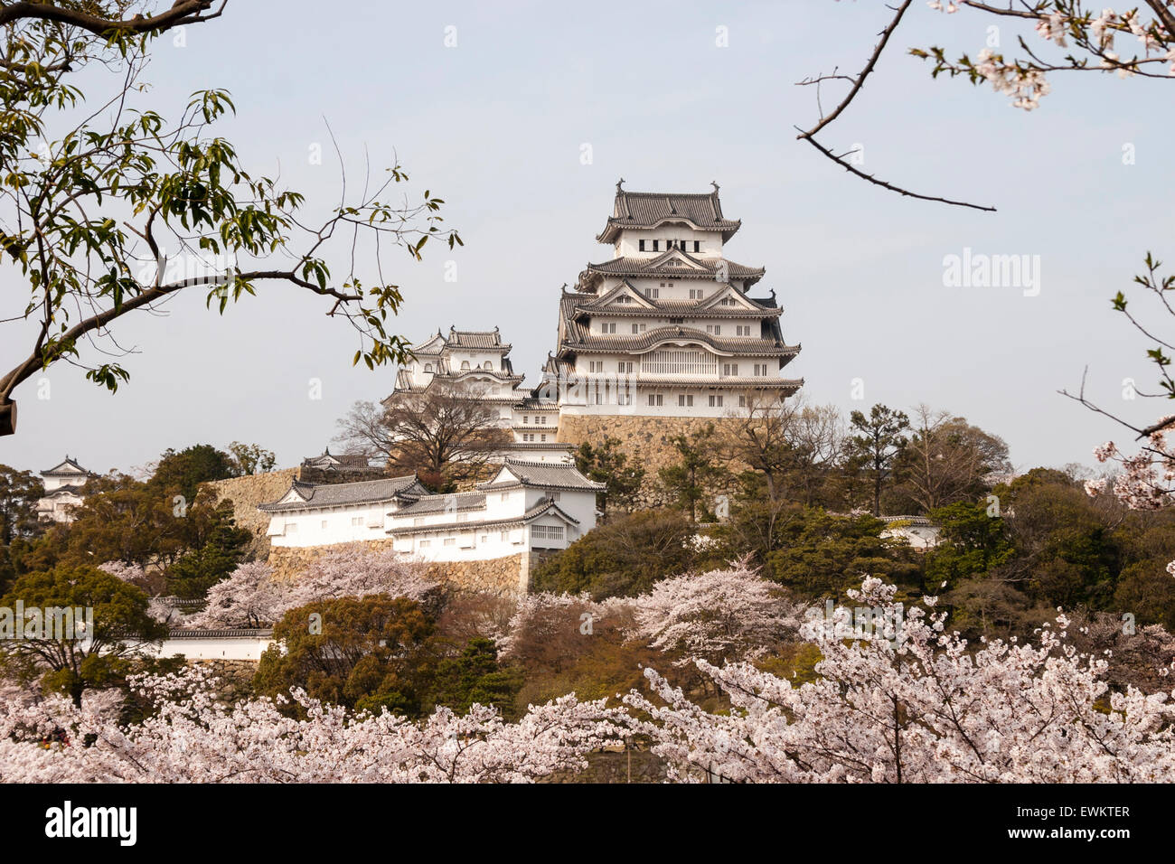 Himeji castle in Japan. Castle keep towering over castle walls and in ...