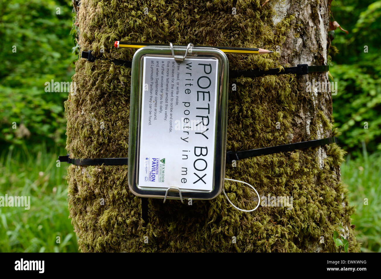 Poetry Box with write poetry in me written tied to a tree trunk Two ...