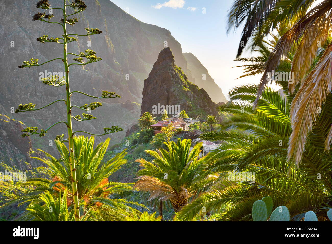 Masca village with its characteristic pinnacle in the center, Tenerife ...