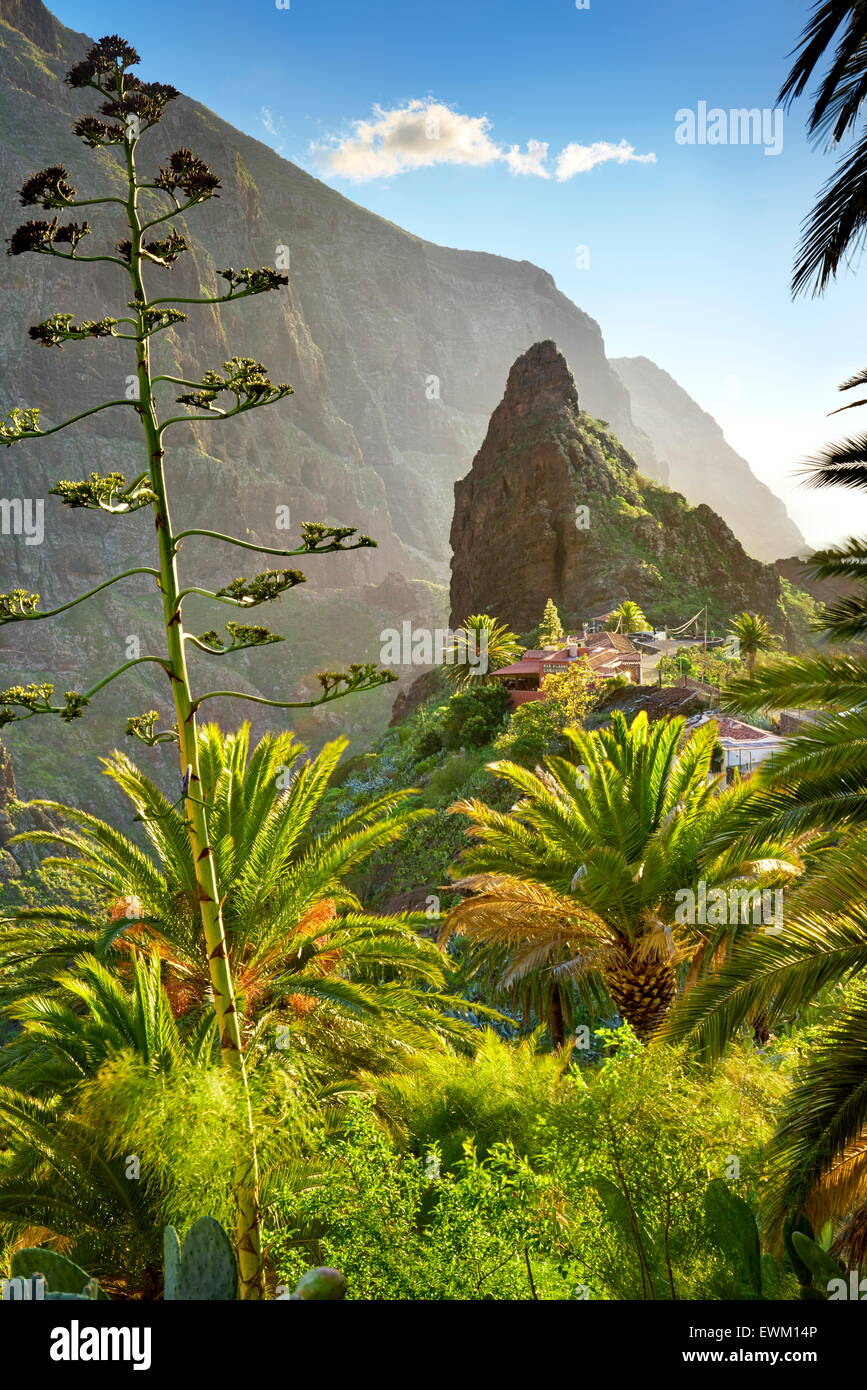 Masca village with its characteristic pinnacle in the center, Tenerife ...