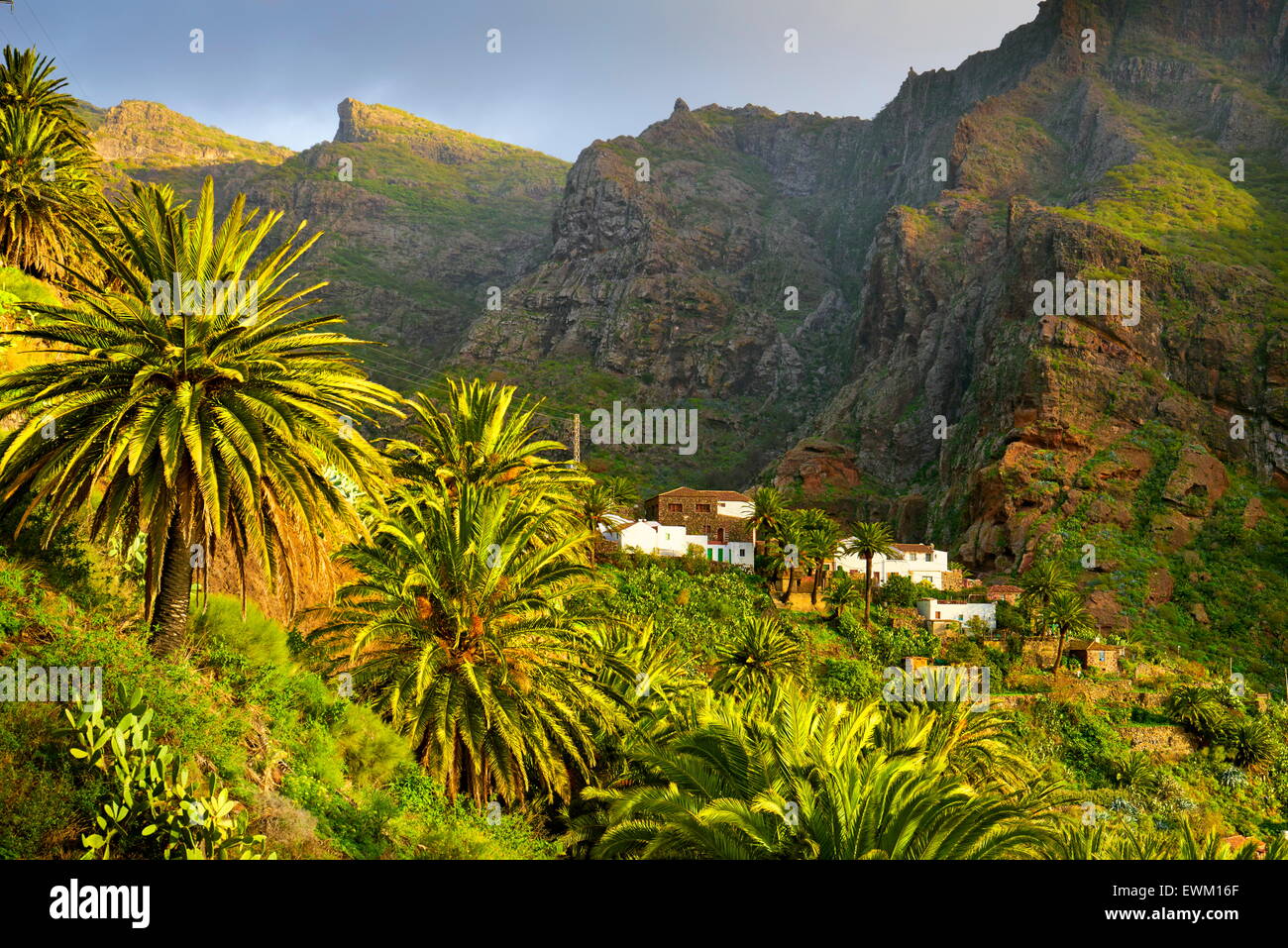 Tenerife - Masca village, Canary Islands, Spain Stock Photo - Alamy