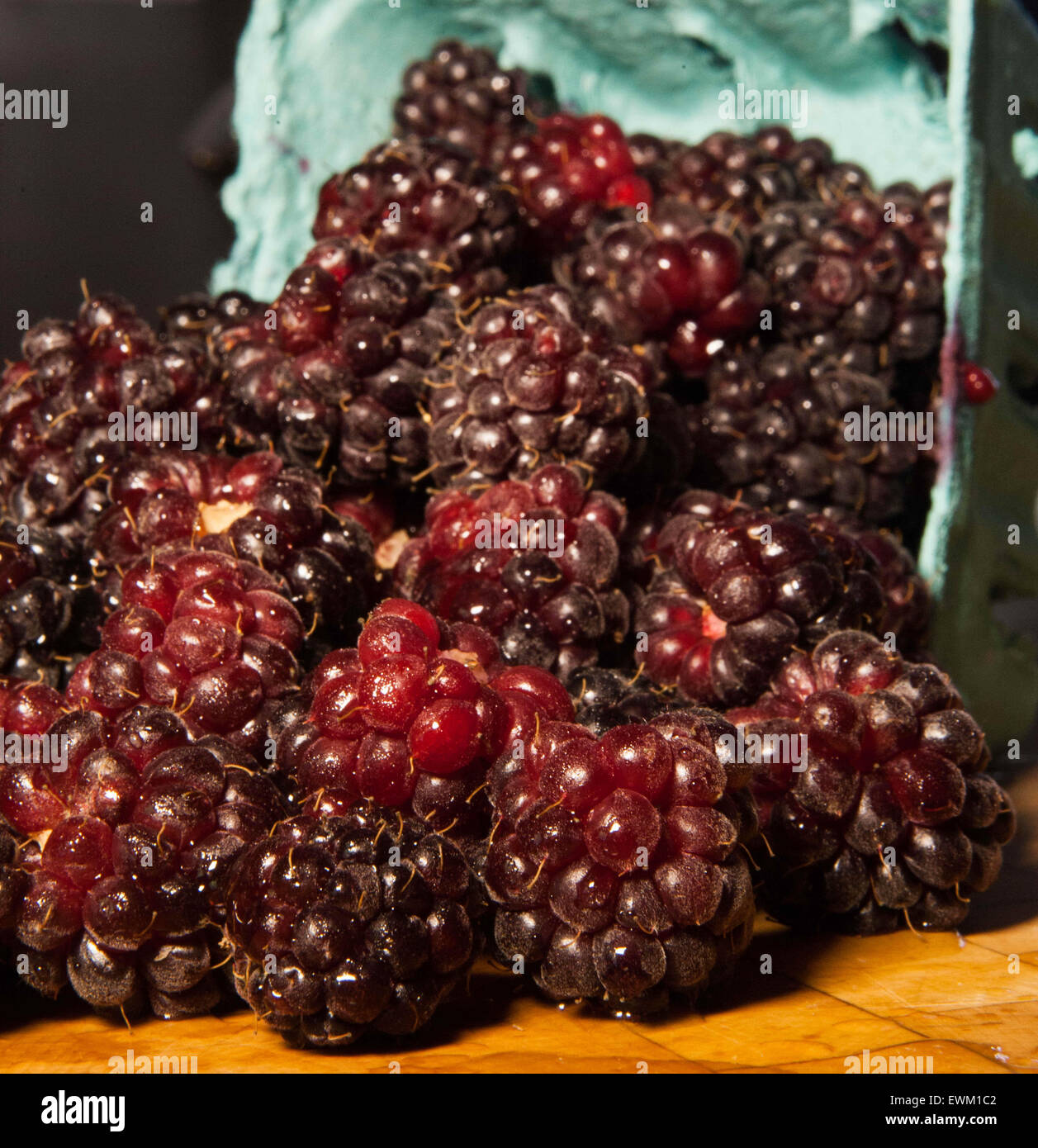 Ca, Usa. 28th June, 2015. Boysenberry © Marty Bicek/ZUMA Wire/Alamy ...
