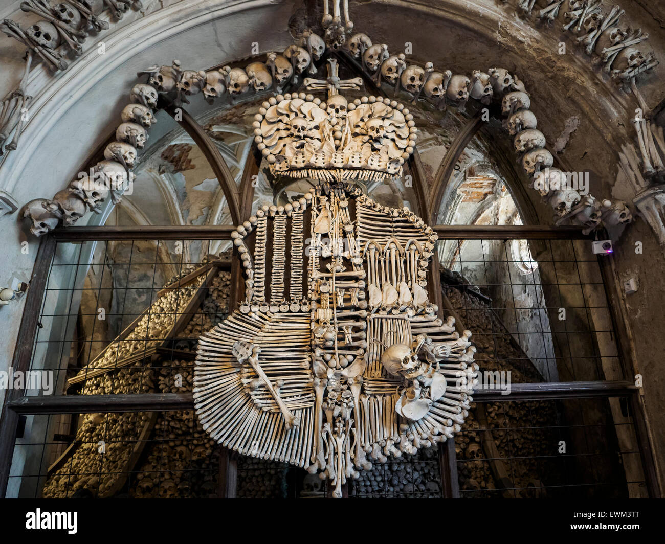 Crypt bones hi-res stock photography and images - Alamy