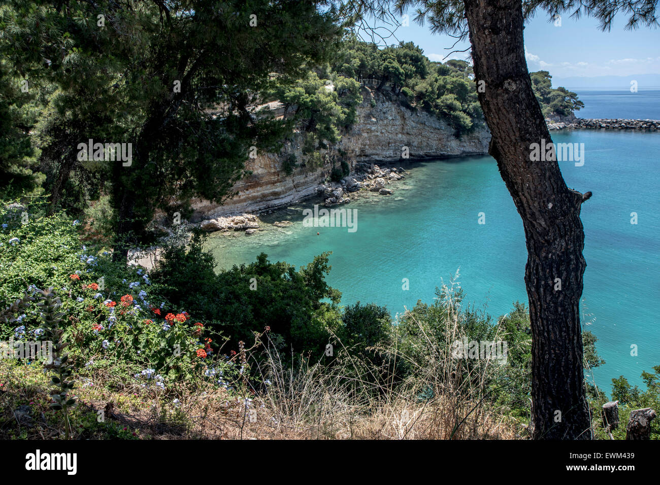 Alonnisos greece dolphin hi-res stock photography and images - Alamy
